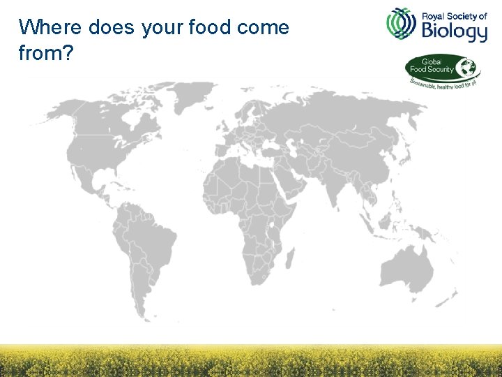 Where does your food come from By the