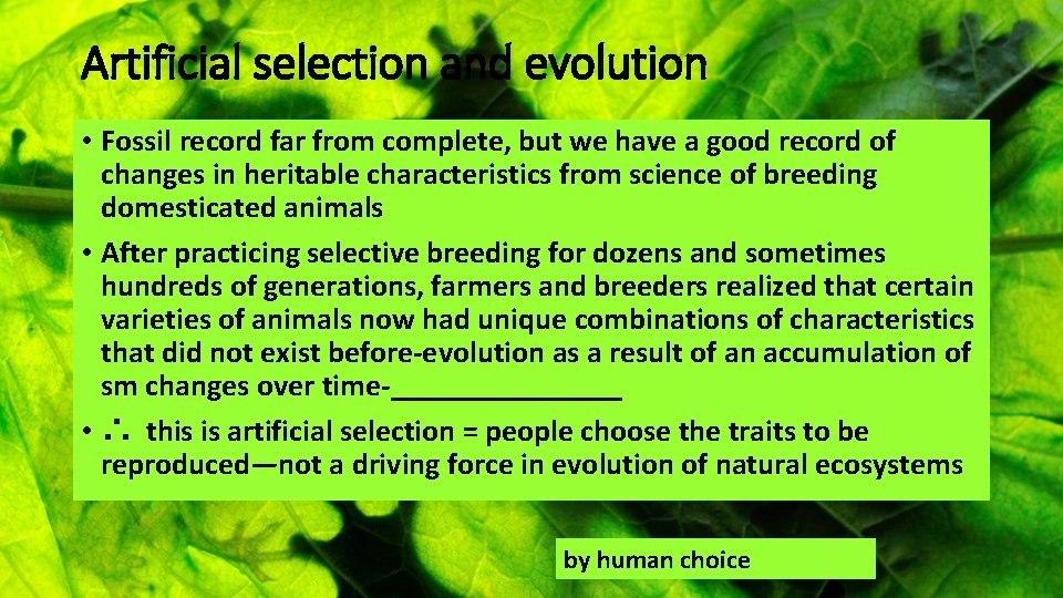 IB BiologyChapter 5 Evolution and Biodiversity Evidence for