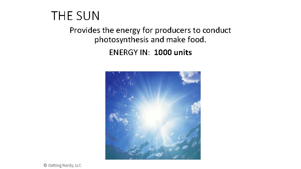 A Pyramid of Energy Objective to determine how