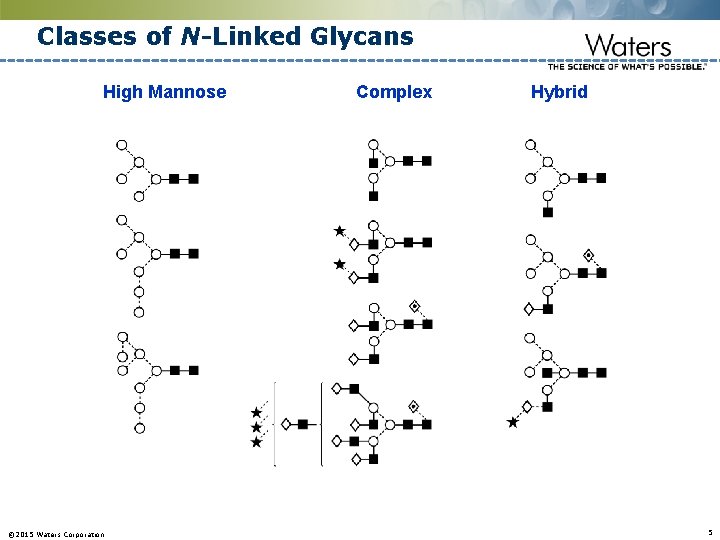 Nlinked Glycan Characterization and Profiling Combining the Power