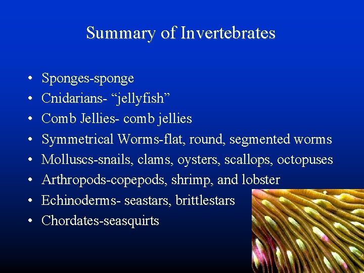 Chapter 7 Marine Animals sans Backbone Where are