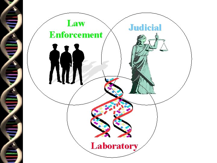 Forensic DNA Typing and Prospects for Biometrics Dr