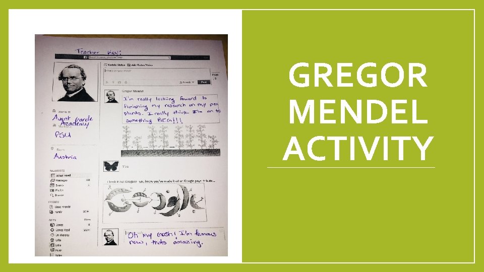 HEREDITY GENETICS Mrs Green Bell Work 1 What