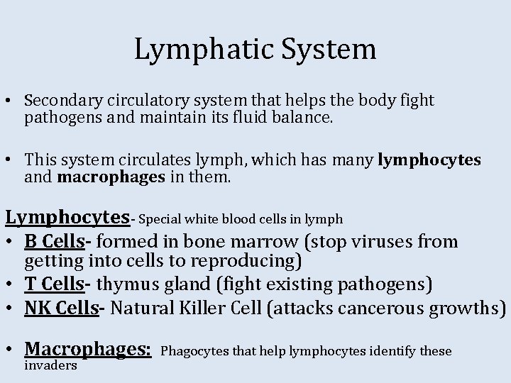 Everything You Wanted to Know About the Immune