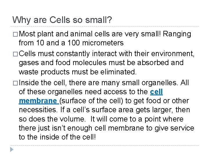 Cell Structures September 17 th SBI 3 U