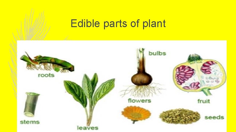 GENERAL INSTRUCTIONS Eat healthy and be safe by