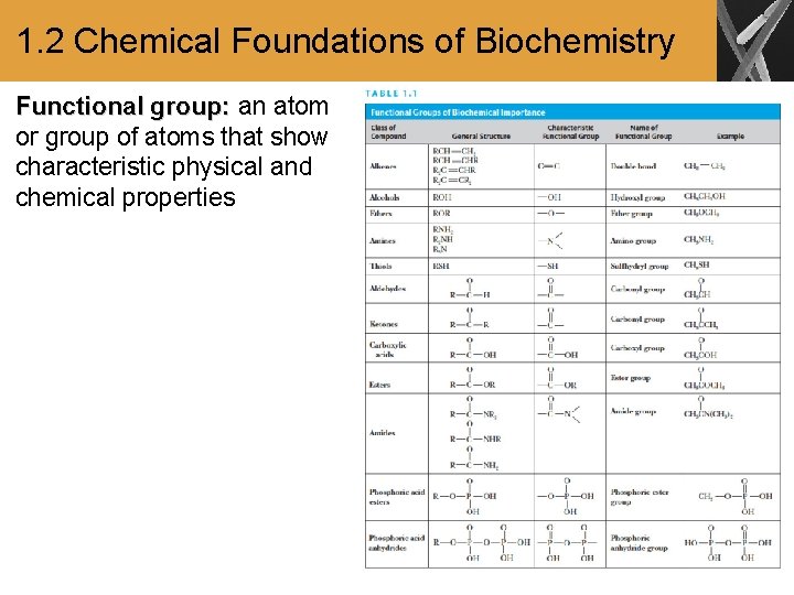 Chapter 1 Biochemistry and the Organization of Cells