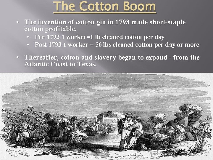 PLANTATIONS AND SLAVERY SPREAD The Cotton Boom The