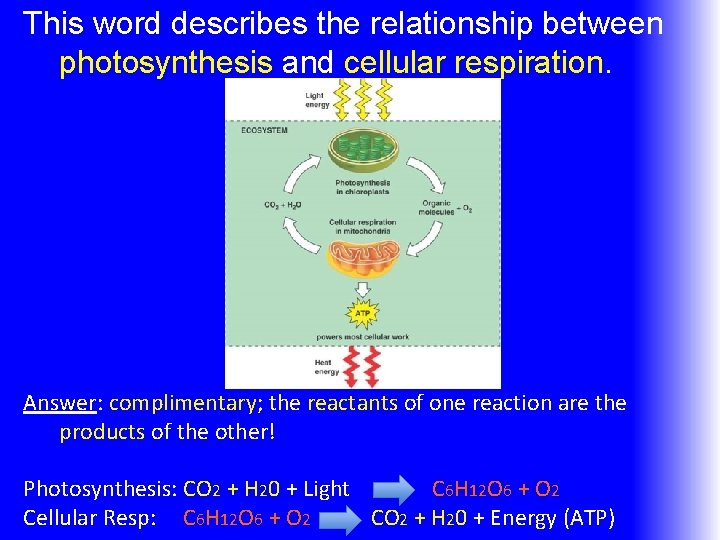 SCA Review Biochemistry SCA Review Biochemistry This is