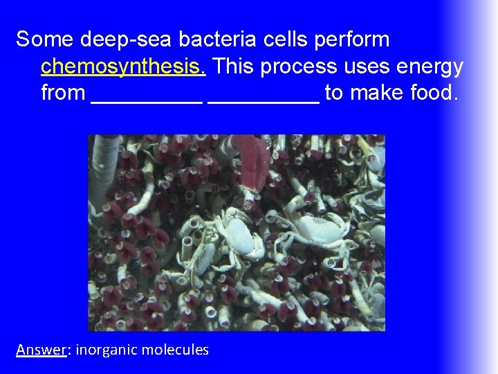 SCA Review Biochemistry SCA Review Biochemistry This is