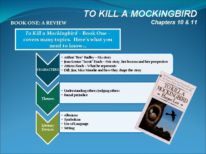TO KILL A MOCKINGBIRD Chapters 10 11 CHAPTER