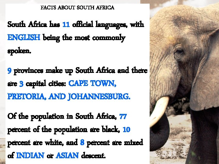 South Africa History and Culture FACTS ABOUT SOUTH