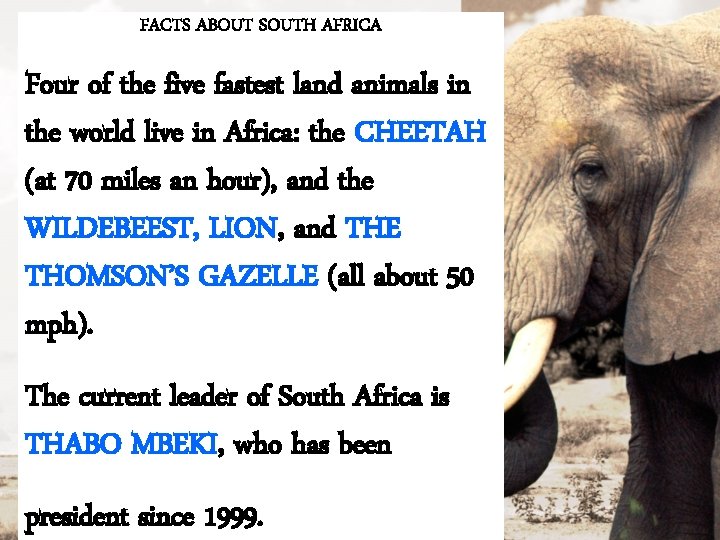South Africa History and Culture FACTS ABOUT SOUTH