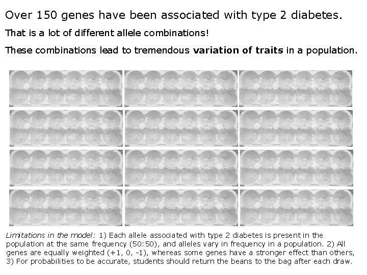 Biology Homeostasis and Type 2 Diabetes Lesson Four