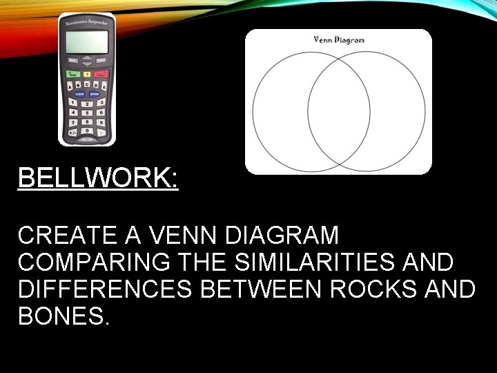 THE SKELETAL SYSTEM BELLWORK CREATE A VENN DIAGRAM
