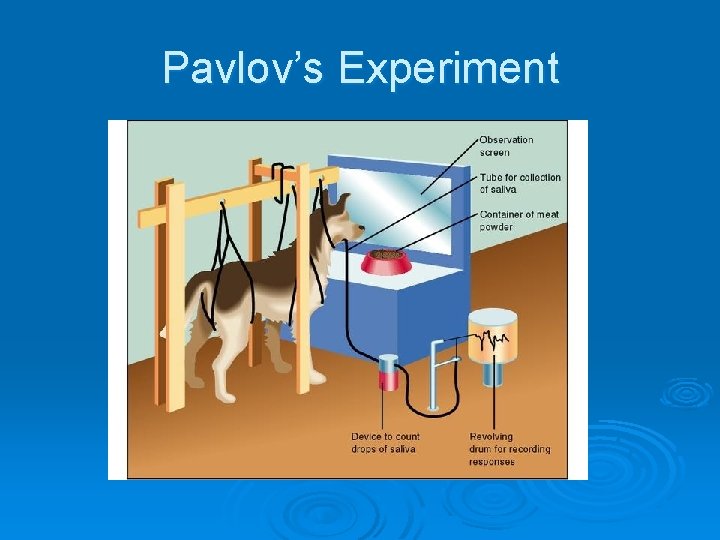 Learning Classical Conditioning The Fathers of Behaviorism 1