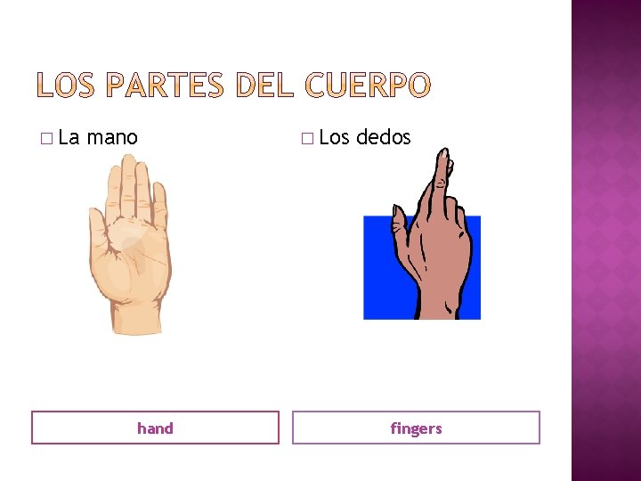 7 A La cabeza Head La cara Face