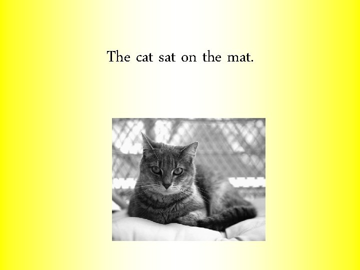 Introduction to Reading Great Dalby Primary School September