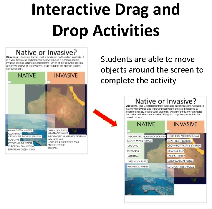Chapter 9 Invasive Species Digital Interactive Notebook Pages