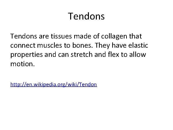 The Skeletal System Bryce Tappan Function of the