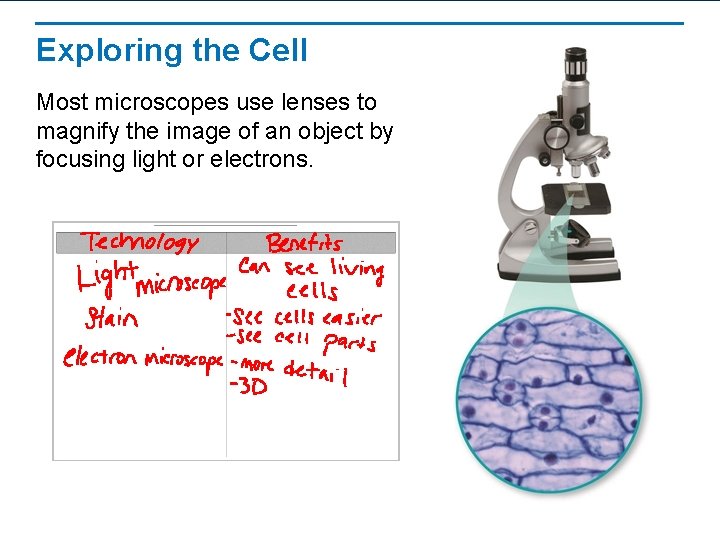 Life Is Cellular Learning Objectives State the cell