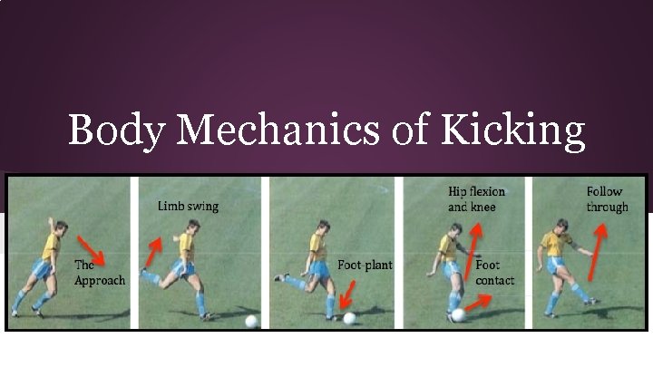 The Physics of Soccer Body Mechanics of Kicking