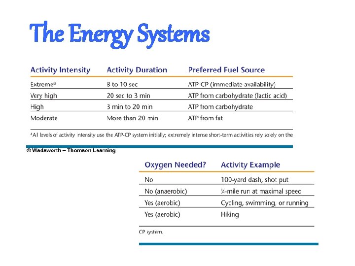 Fitness Physical Activity Nutrients And Body Adaptations Kristen