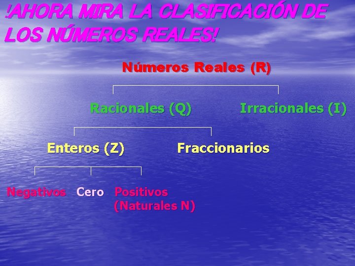 LOS NMEROS REALES BIENVENIDOS A LA CLASIFICACIN DE