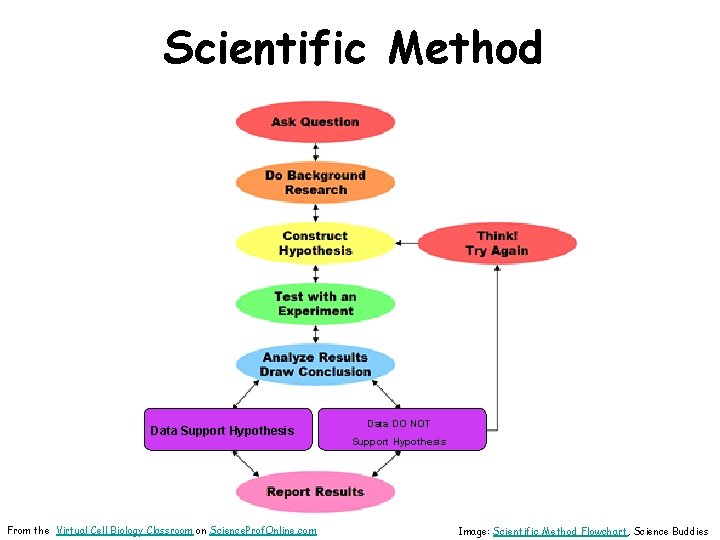 About Science Prof Online Power Point Resources Science