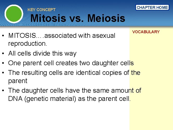 CHAPTER NEW CHAPTER Cell Division the BIG idea