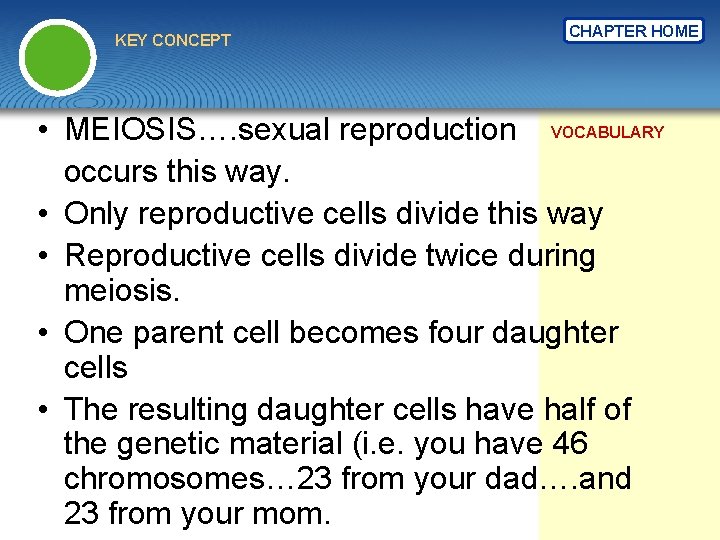 CHAPTER NEW CHAPTER Cell Division the BIG idea