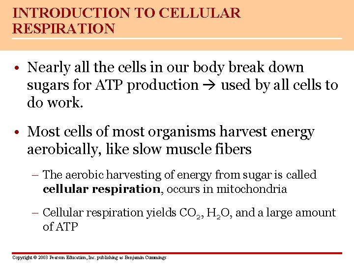 BIOLOGY CONCEPTS CONNECTIONS Fourth Edition Neil A Campbell