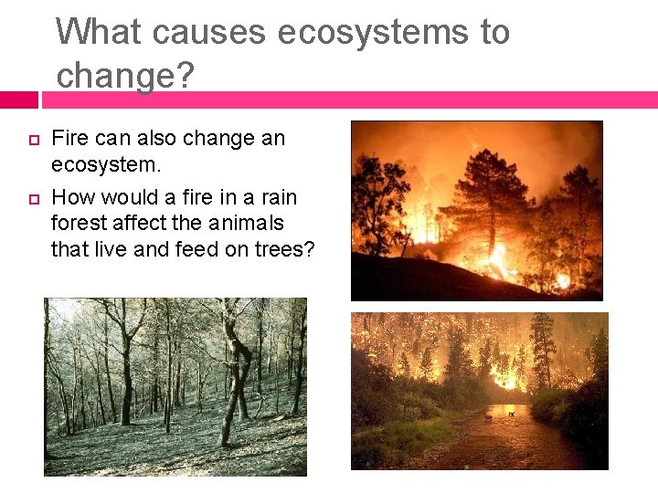 CHANGES IN ECOSYSTEMS Chapter 1 Lesson 5 Objectives