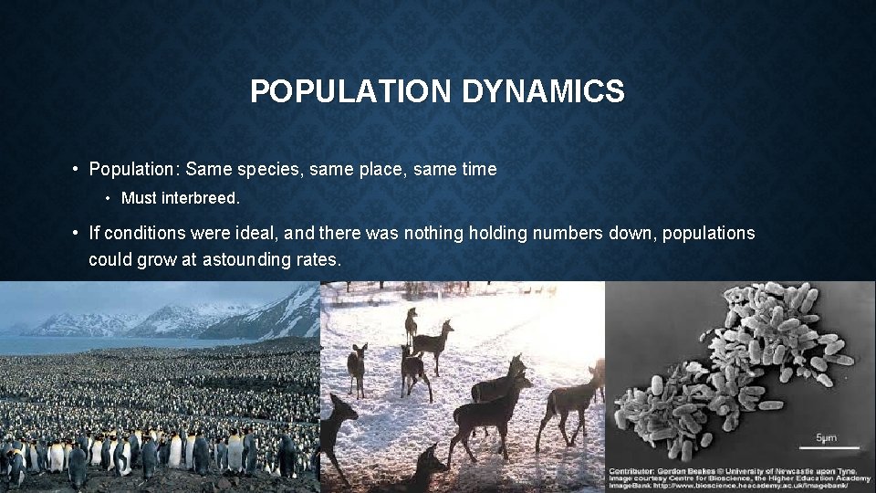 CHAPTERS 4 POPULATION BIOLOGY BELLRINGER How many time
