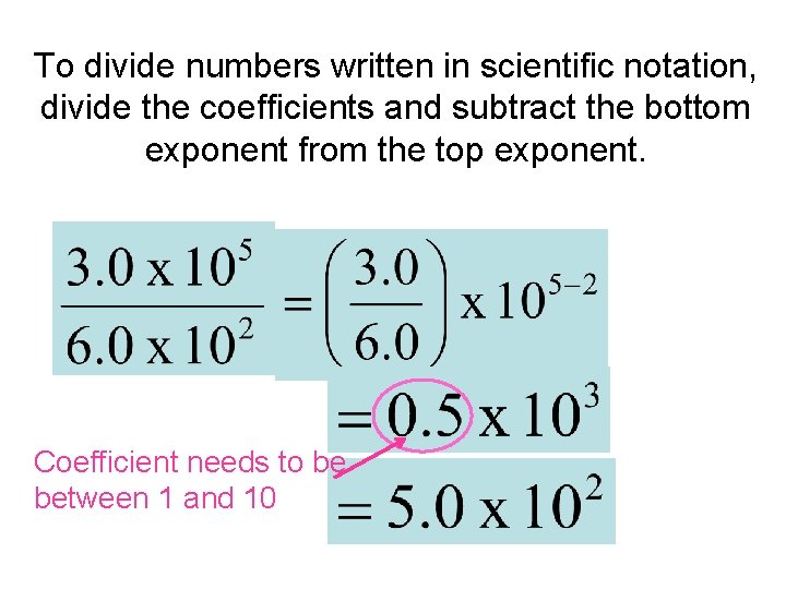 Chapter 3 Scientific Measurement Anything in black letters