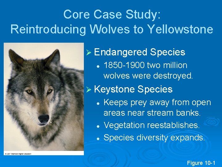Chapter 10 Sustaining Terrestrial Biodiversity The Ecosystem Approach