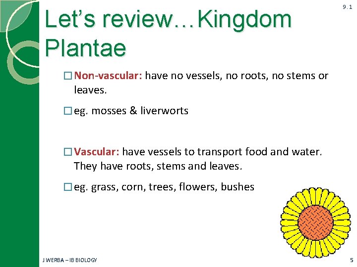 PLANT STRUCTURE FUNCTION AHL Topic 9 1 IB