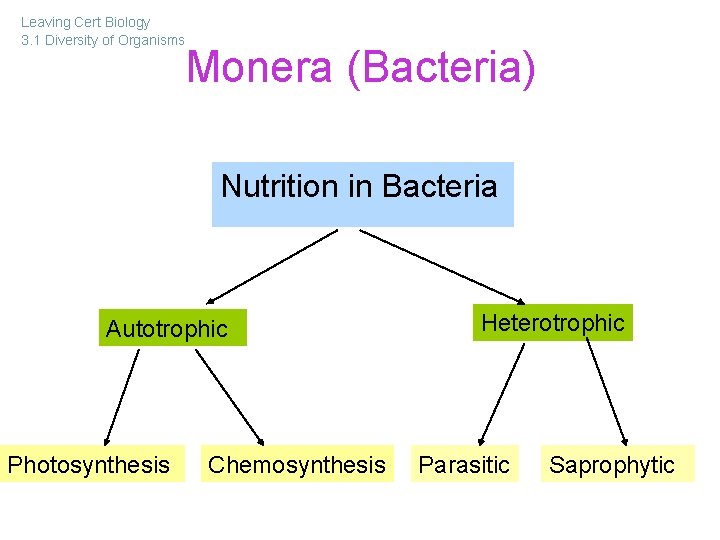 Leaving Cert Biology 3 1 Diversity of Organisms