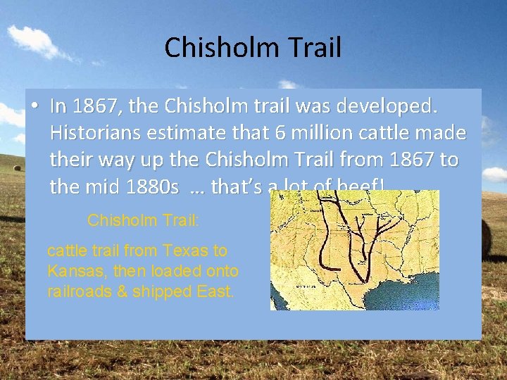 Cowboys Cattle Trains EQ What role did the