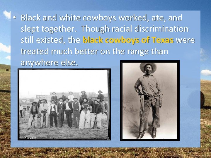 Cowboys Cattle Trains EQ What role did the