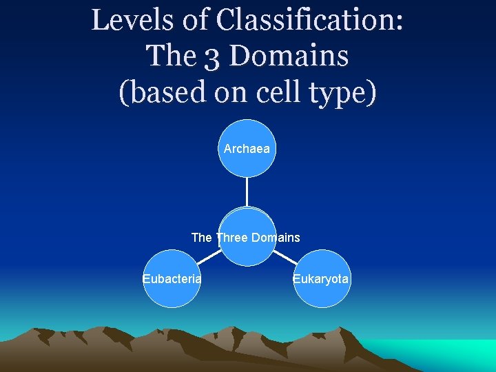 Biological Classification Group the following in any way
