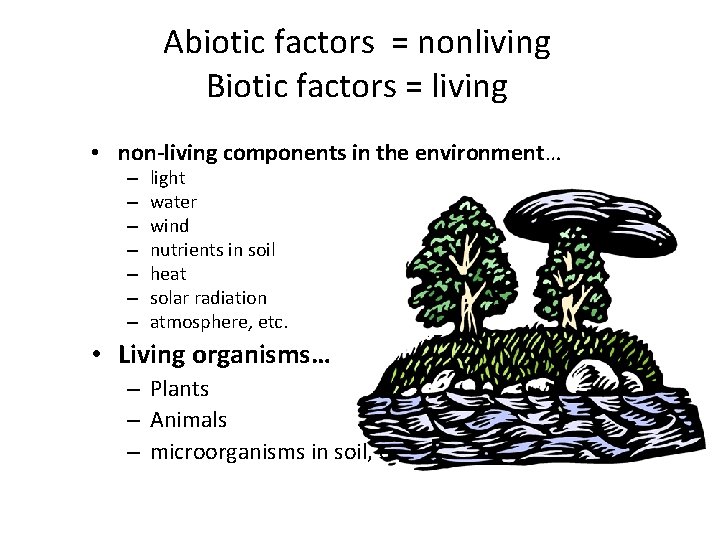 Ecological Organization and Matter Cycles Ms Henriksen Biology