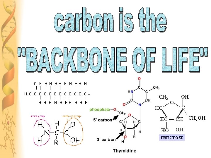 All biological matter is made up of atoms