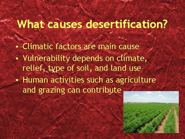 Desertification Global Health Threat Katie Romelczyk DesertificationWhat is