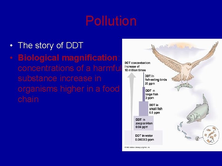 BIODIVERSITY Variety is the spice of life What