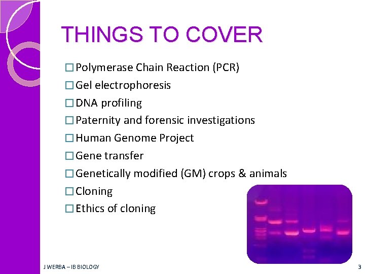 GENETIC ENGINEERING and BIOTECHNOLOGY Topic 4 4 IB