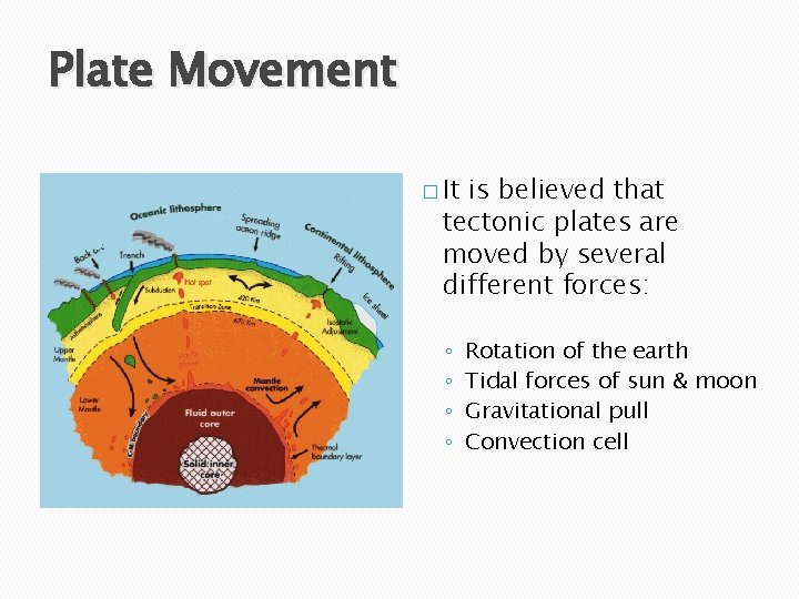 Plate Tectonics Shake Rattle Roll Key Vocabulary Plate