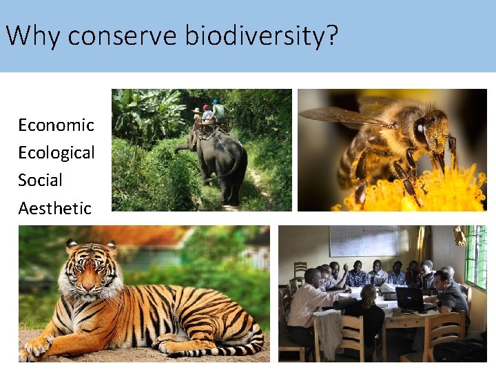 Topic 3 4 Conservation of biodiversity Significant ideas