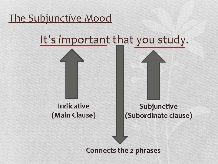 EL SUBJUNTIVO THE SUBJUNCTIVE Profe Hodges Spanish 3