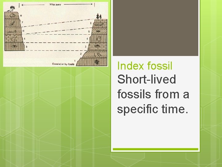 Geologic time vocabulary review Correlation Determining time equivalency